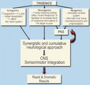 STROKE: Trigenics® Myoneural Medicine - Trigenics
