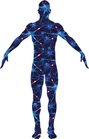 Worldwide Trigenists Locator - Trigenics